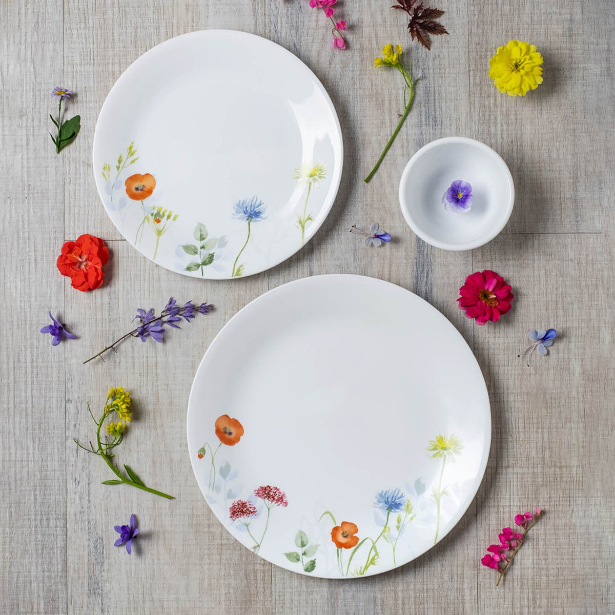 Buy Corelle Asia Square Round Collection Daisy Field Square Round ...